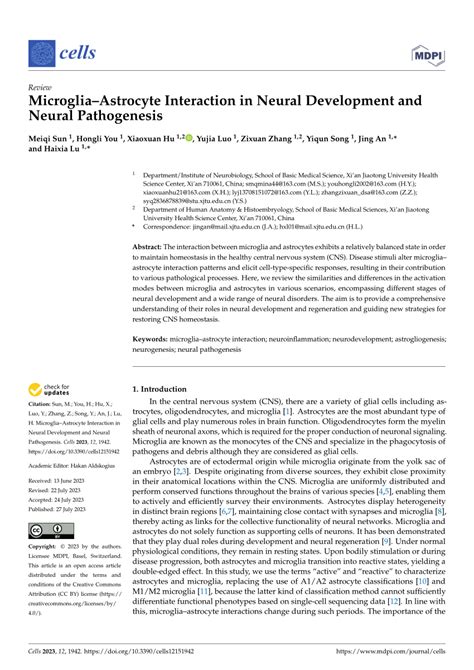 Pdf Microglia Astrocyte Interaction In Neural Development And Neural Pathogenesis