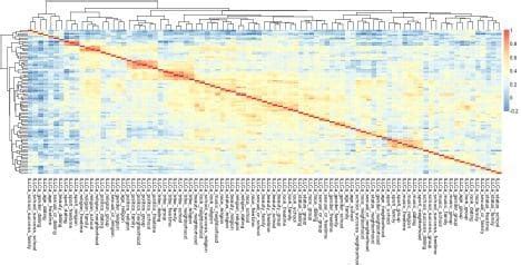 Topological Data Analysis For Data Professionals Beyond Ayasdi KDnuggets