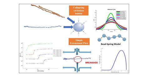 Brownian Dynamics Simulations Of Cavitation Induced Polymer Chain Scission Industrial