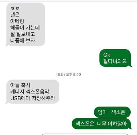 흔한 아들과 엄마 대화 유머 움짤 이슈 에펨코리아