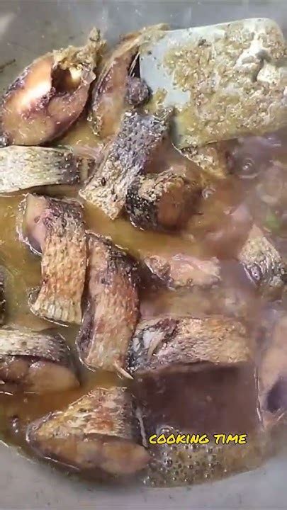 সরিষা ইলিশের জুরি নেই শাশুড়ী বৌমার রান্না ঘর Youtube