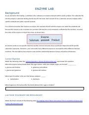Understanding Enzyme Function Exploring Lactase And Lactose Course Hero