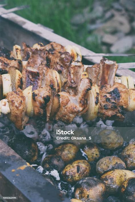 양파와 베이컨 절인 바베 큐 고기입니다 Shashlik 또는 시 케밥 자연에서 숯불 그릴에 준비 Shashlyk 고기 꼬치 바베 큐 그릴 고기에 대한 스톡 사진 및 기타