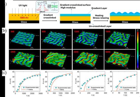 A Schematic Representation Of The Self Wrinkling Process B Download Scientific Diagram