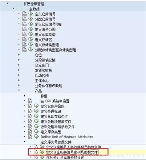 sap ewm 物料主数据 ewm系统存储视图属性 ewm 物料的序列号需求 csdn博客