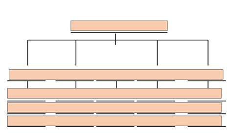 Free Concept Map Templates Word PPT