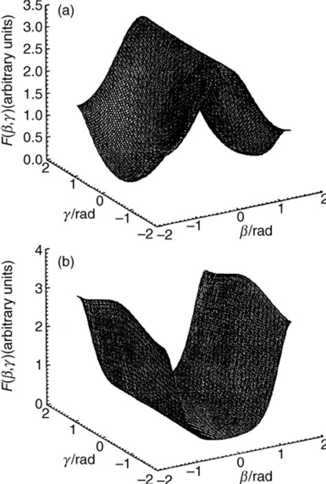 Orientational Distribution Function Describing The Orientation Of