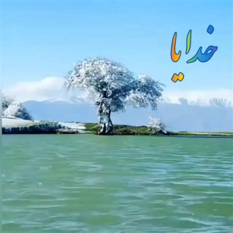 ‎یاسر افشاری‎ Yasserafshar • Instagram Photos And Videos