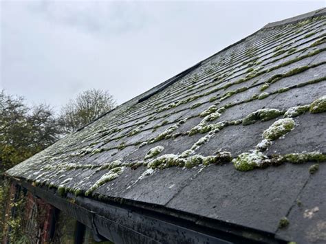 Identify Asbestos Ceiling Tiles Residential Checklist A Homeowners