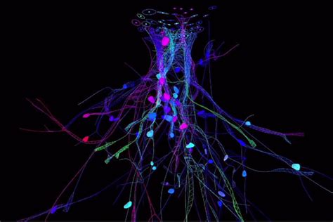 In Conversation With Satoru Sugihara