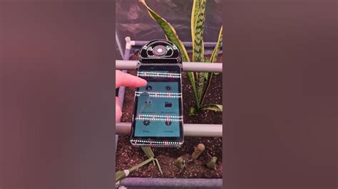 Spectroradiometer Testing Herbal House Nz Youtube