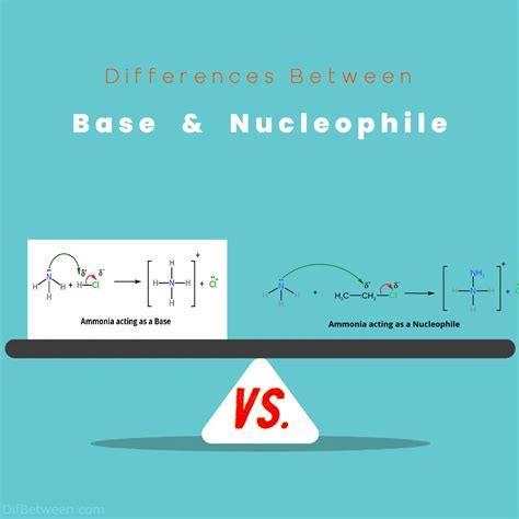 Base Vs Nucleophile Understanding The Key Differences