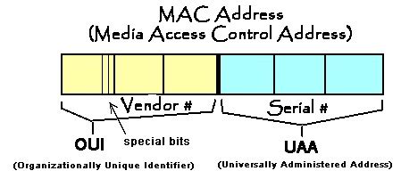 Ankit Aparajey Network Articles MAC Address Vs IP Address