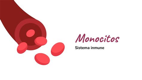 Monocitos Sistema Inmune Udocz Udocz
