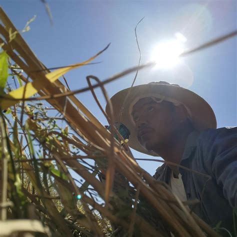 របៀបធ្វើសម្រាប់ខាត់ដែក 📸 សិល្បៈវប្បធម៌របស់ខ្មែរ