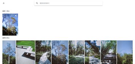 谷歌相册的基本介绍与使用技巧 哔哩哔哩