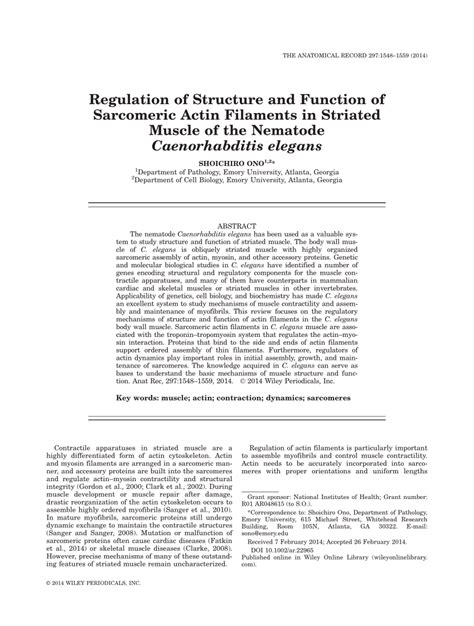 Pdf Regulation Of Structure And Function Of Sarcomeric Actin Filaments In Striated Muscle Of
