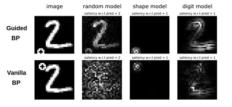 The Three Columns On The Right Show The Saliency Maps Produced For The Download Scientific