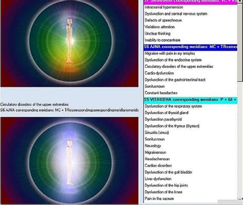 What Is Nls System Maikong Metatron Hunte Nls 4025