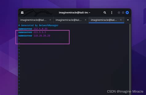Kali Linux 配置动态静态 Ipkali配置ip地址 Csdn博客