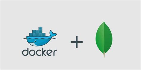 How To Make Your Mongodb Container More Secure Dev Community