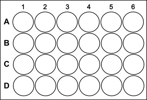24 Well Plate Template Word