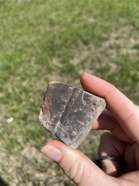 Doesnt Look Like Much But Possibly Some Kind Of Fossil Any Ideas R Fossils