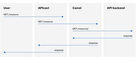 Chapter 3 Apicast Policies Administering The Api Gateway Red Hat