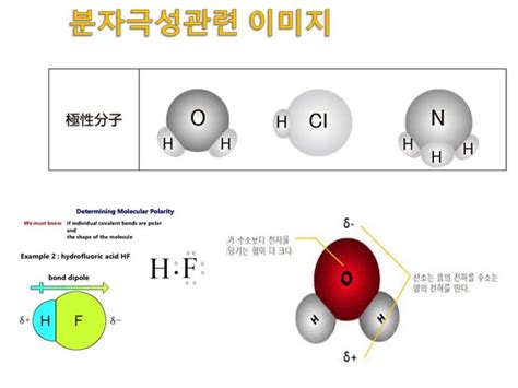 극성 비극성 쌍극자 모멘트 전기음성도 정전기적 인력 분극 용해도 공유전자쌍 반데르발스 힘 배향력 유도력 분산력 네이버 블로그