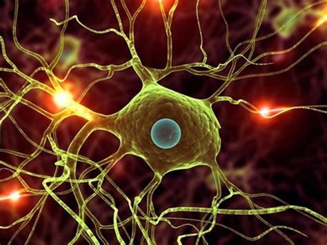 Practical Deep Learning In Theano And Tensorflow For 29