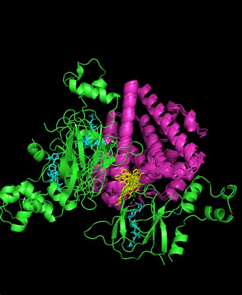 How To Input 2 Or More Different Small Moleculers In Haddock3 Cfg File
