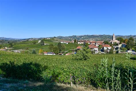 Barolo