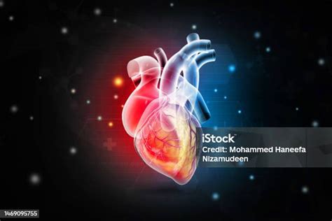 인간의 마음의 해부학 3d 일러스트레이션 심장에 대한 스톡 사진 및 기타 이미지 심장 아픔 다이어그램 Istock