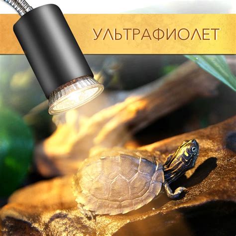 Светильник для рептилий на прищепке с ультрафиолетовой лампой Uva Uvb купить на Ozon по низкой