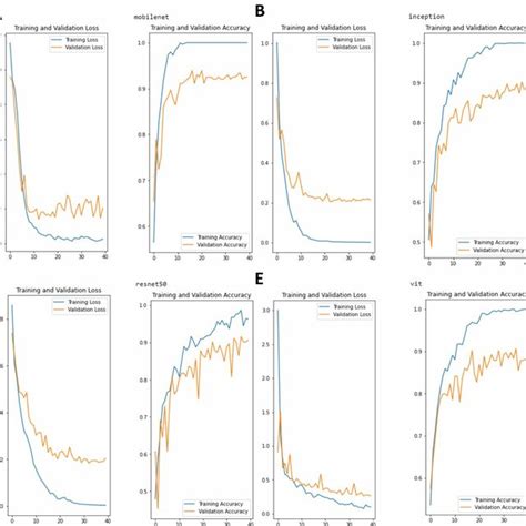 Model Training And Validation Accuracyloss Curve A Custom Cnn B