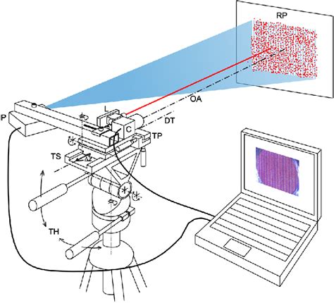 Schematic Diagram Of The Experimental Set Up For The Alignment And
