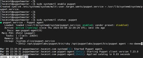 How To Install Puppet Master And Slave In RHEL Based Systems