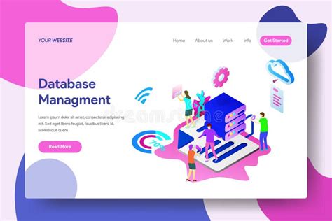 Database Management Icon Database Architecture Symbol Stock Vector