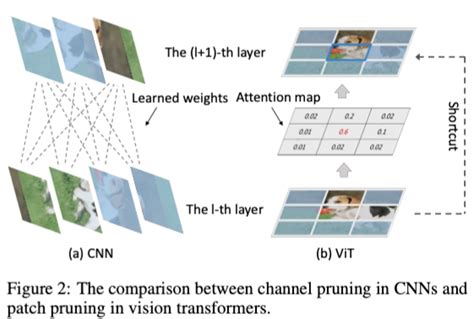 Patch Slimming For Efficient Vision Transformers简记 Csdn博客