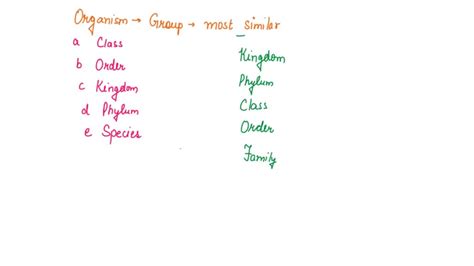 Solved If Two Organisms Belong To The Same Taxonomic Group They Are