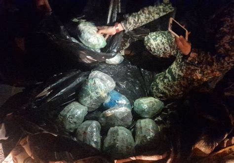 اختصاصی انهدام یکی از بزرگترین باندهای توزیع مواد مخدر ماری جوانا