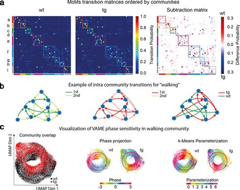 Identification Of Transition Structure And Locomotion Patterns A Download Scientific Diagram