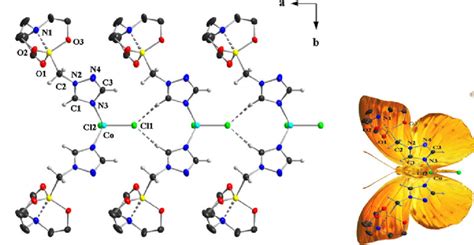 Molecular Structure Scheme Of Complex 1 Showing The Atom Numbering