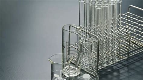 3 Domains Of Life Bacteria Archaea Eukarya Biology Notes Online