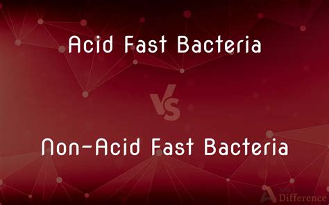 Acid Fast Bacteria Vs Non Acid Fast Bacteria — Whats The Difference