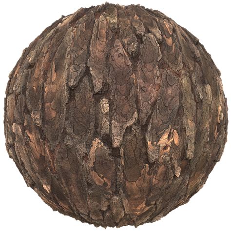 Realistic Tree Trunks Or Bark Texture Free Pbr Texturecan