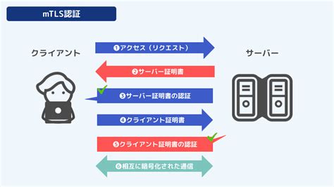 Mtls（相互tls認証）って何？初心者にわかりやすく解説 エンベーダー