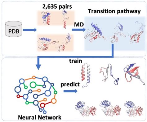 USTC Develops Deep Learning Model To Predict Protein Conformational Changes University Of