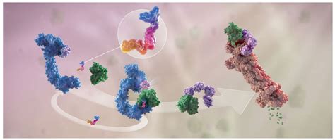 Protein Degraders And Ternary Complexes Structure Characterization Service Cryo Em Mtoz Biolabs