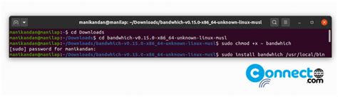 Bandwhich Commandline Bandwidth Utilization Tool How To Install Bandwhich On Ubuntu